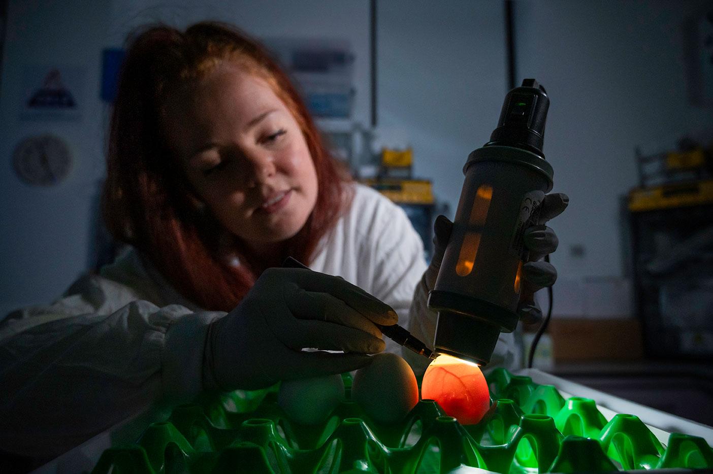 Our science | The Pirbright Institute